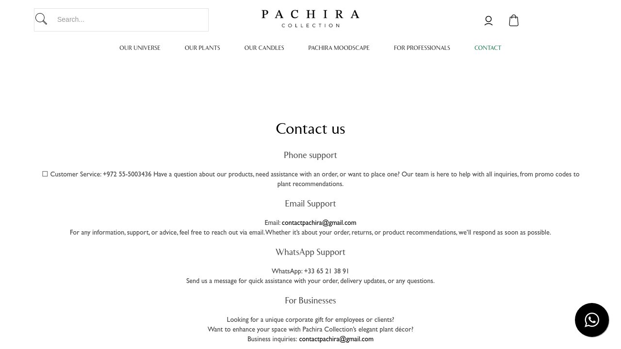 Contact Pachira Collection – Get in Touch for Custom Plant & Candle ...