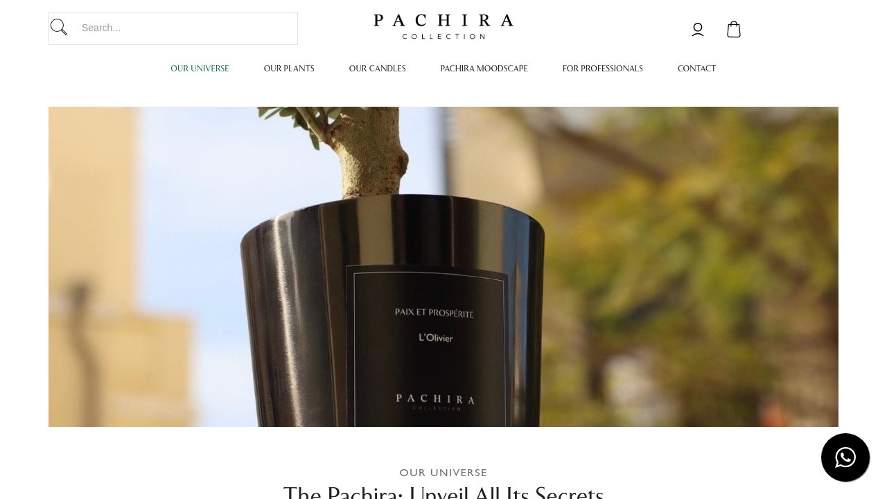 Our Universe – Pachira Collection's Vision of Natural Elegance and ...